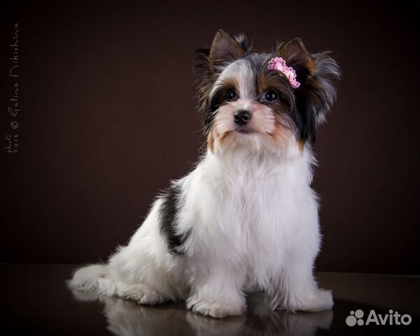 Подрощенная девочка