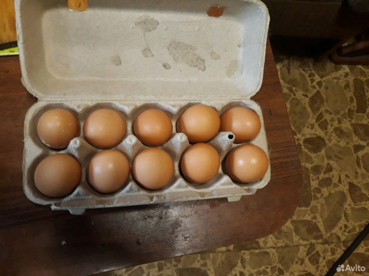 Яйцо куриное домашнее