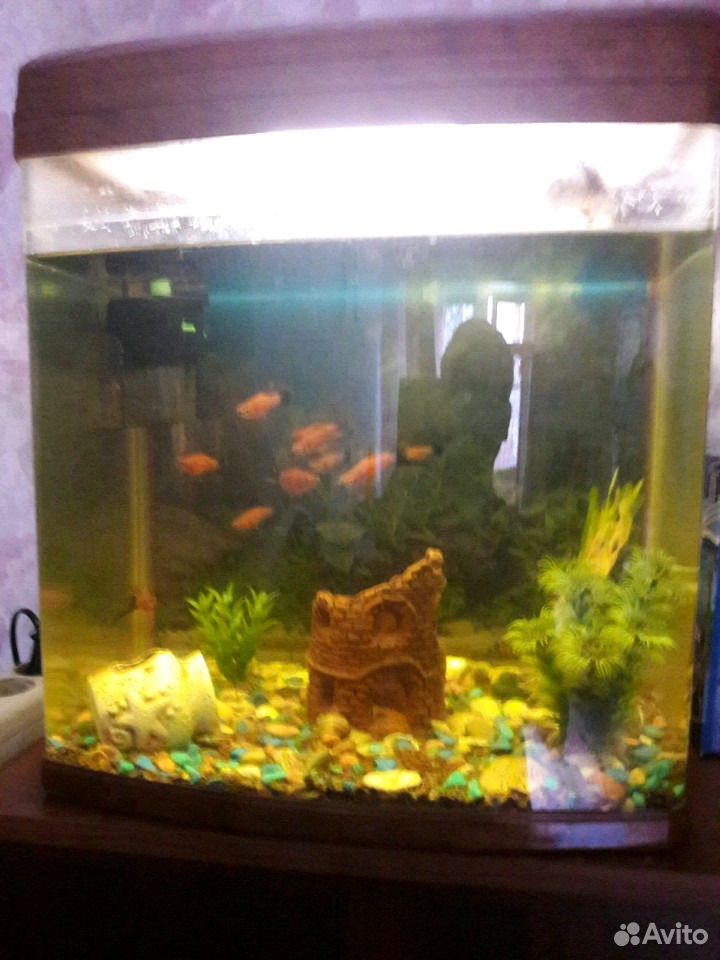 Аквариум