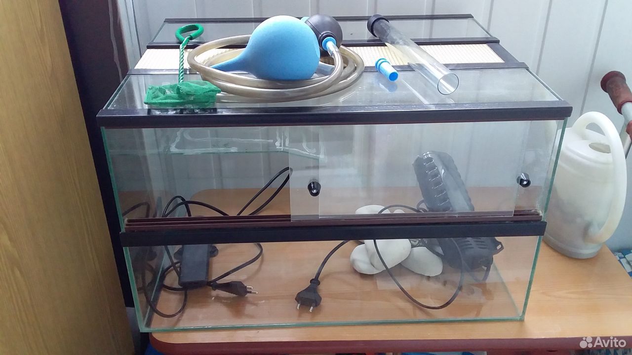 Набор для начинающего любителя красноухих черепах