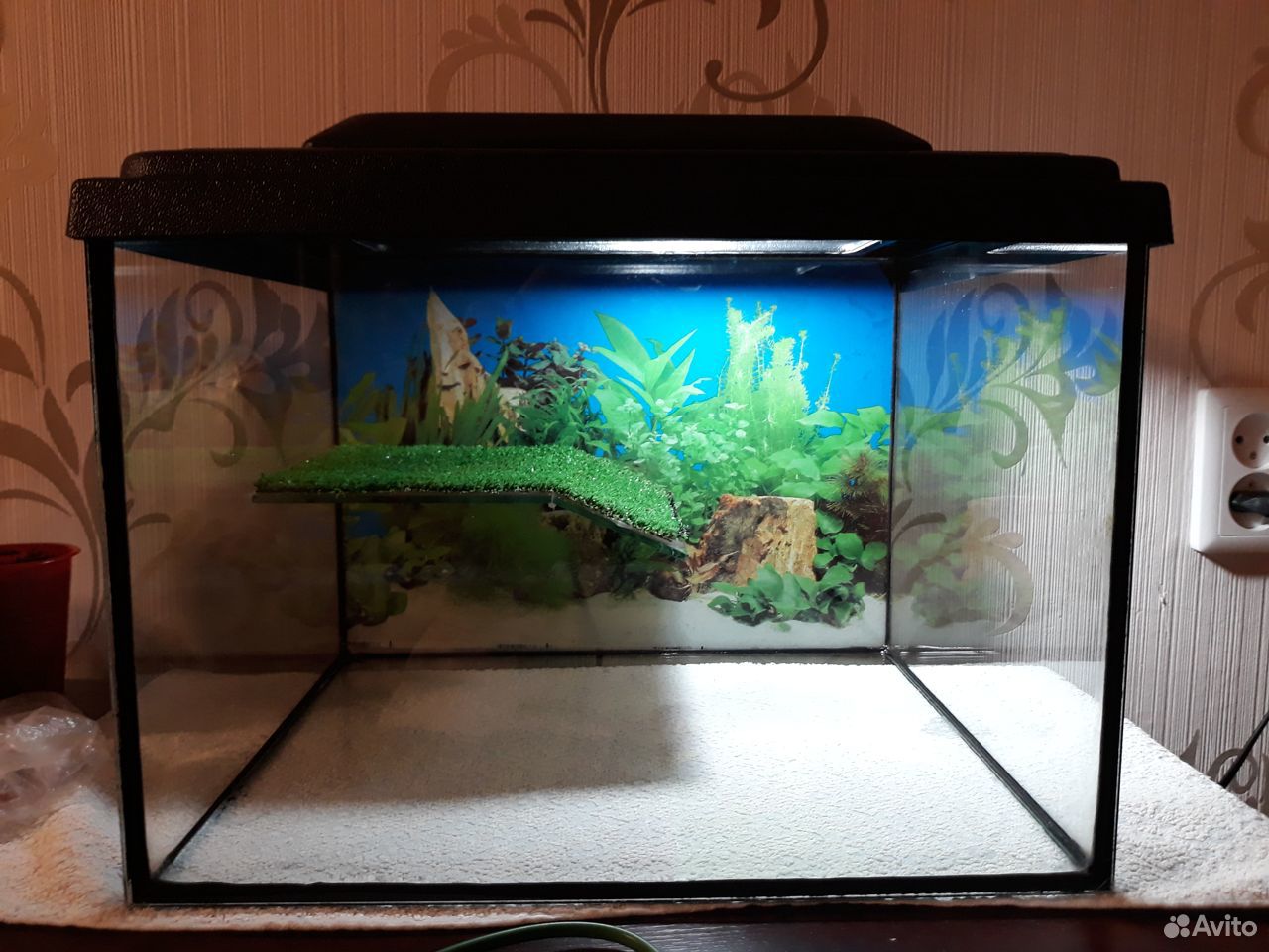 Акватеррариум,черепашник или др