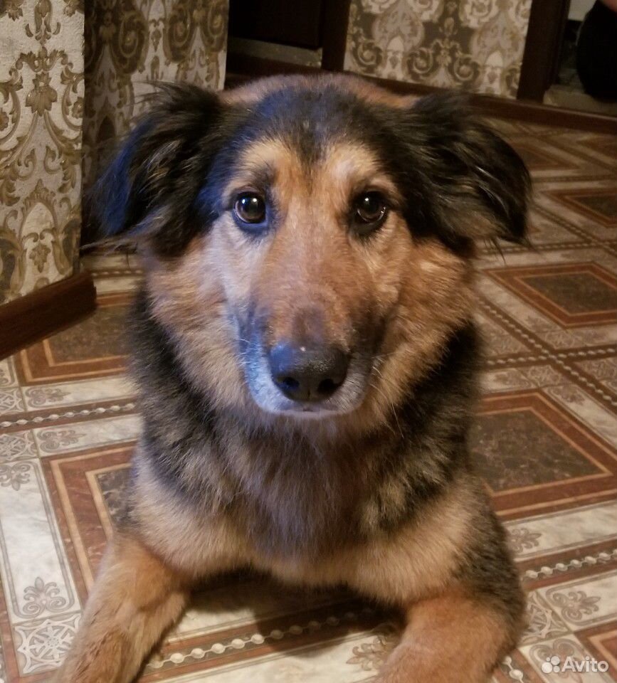 Красавчик Джони