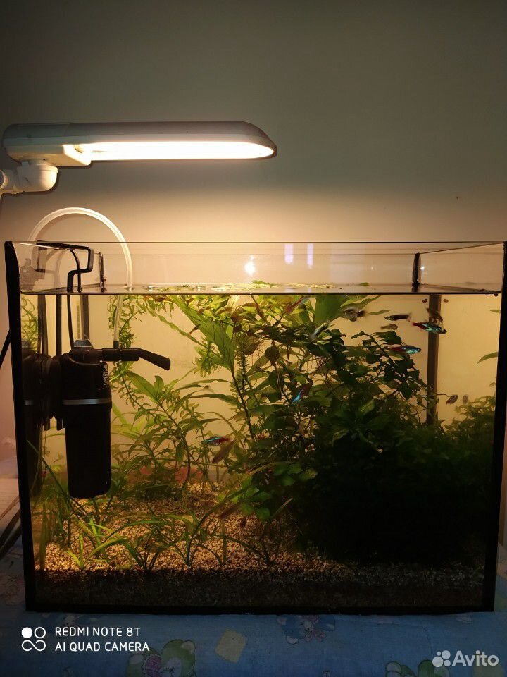 Аквариум 35л. с рыбками и оборудованием