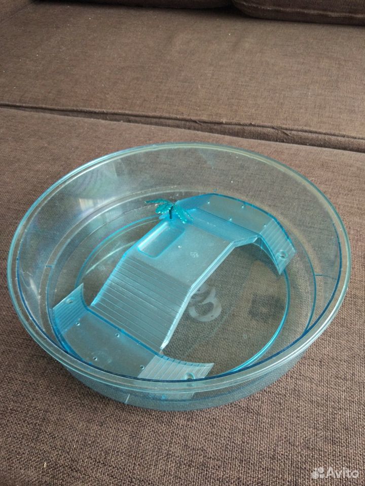 Бассейн для черепашат