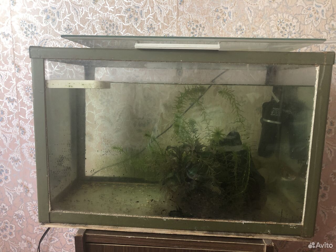 Аквариум с рыбами