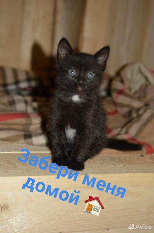 Чёрный Алмаз в дар