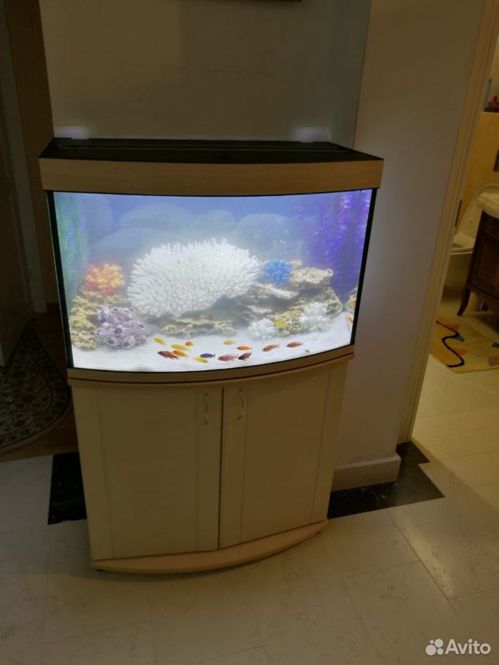 Аквариум с бесплатной доставкой