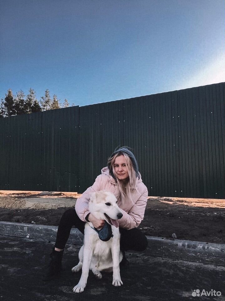 Самый добрый пёс