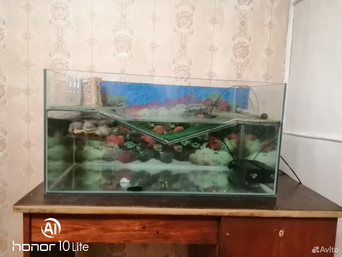 Аквариум