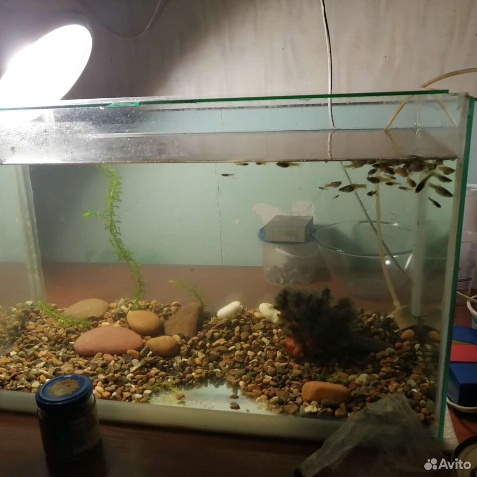 Аквариум