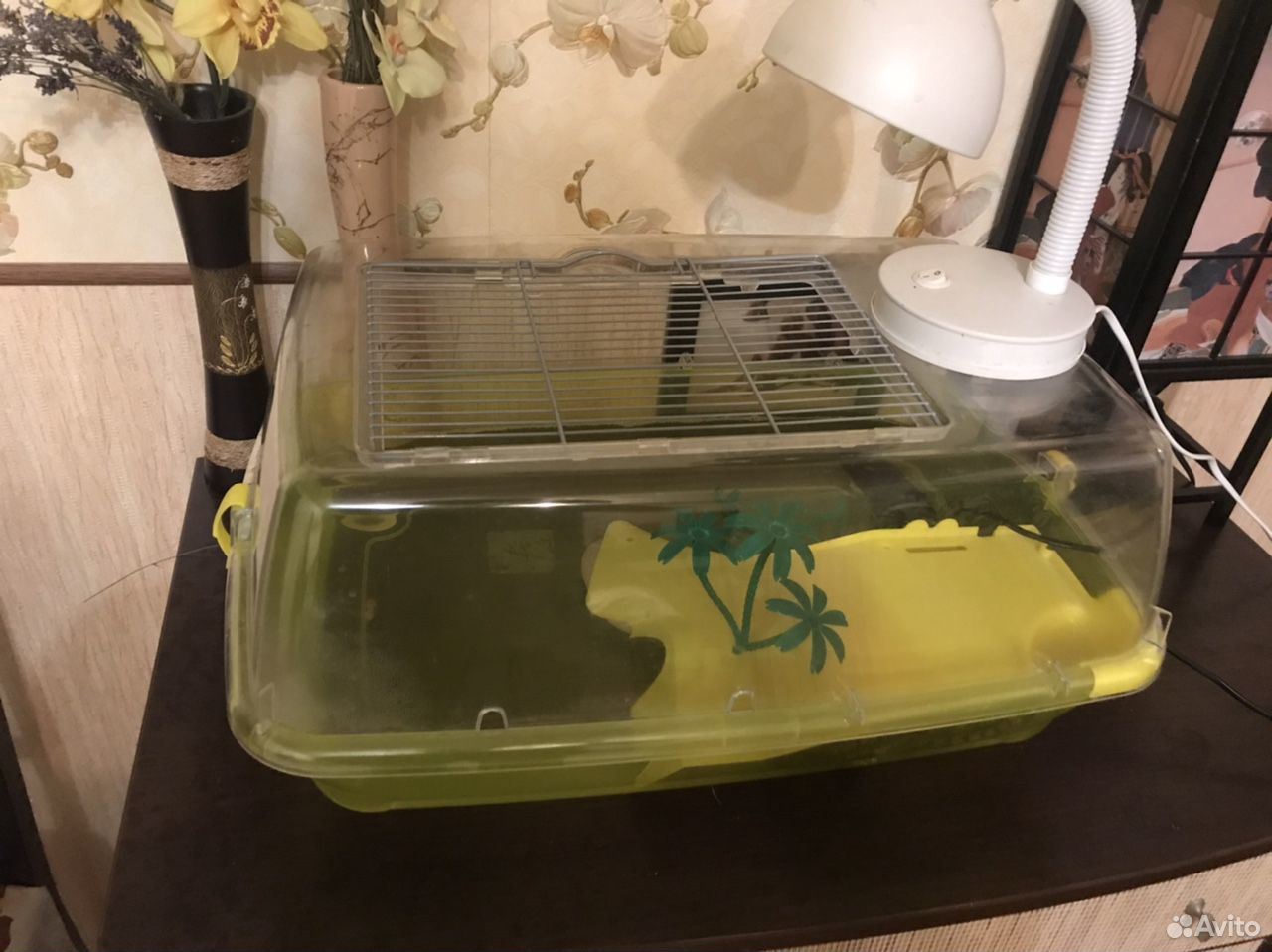 Аквариум с 2 черепахами