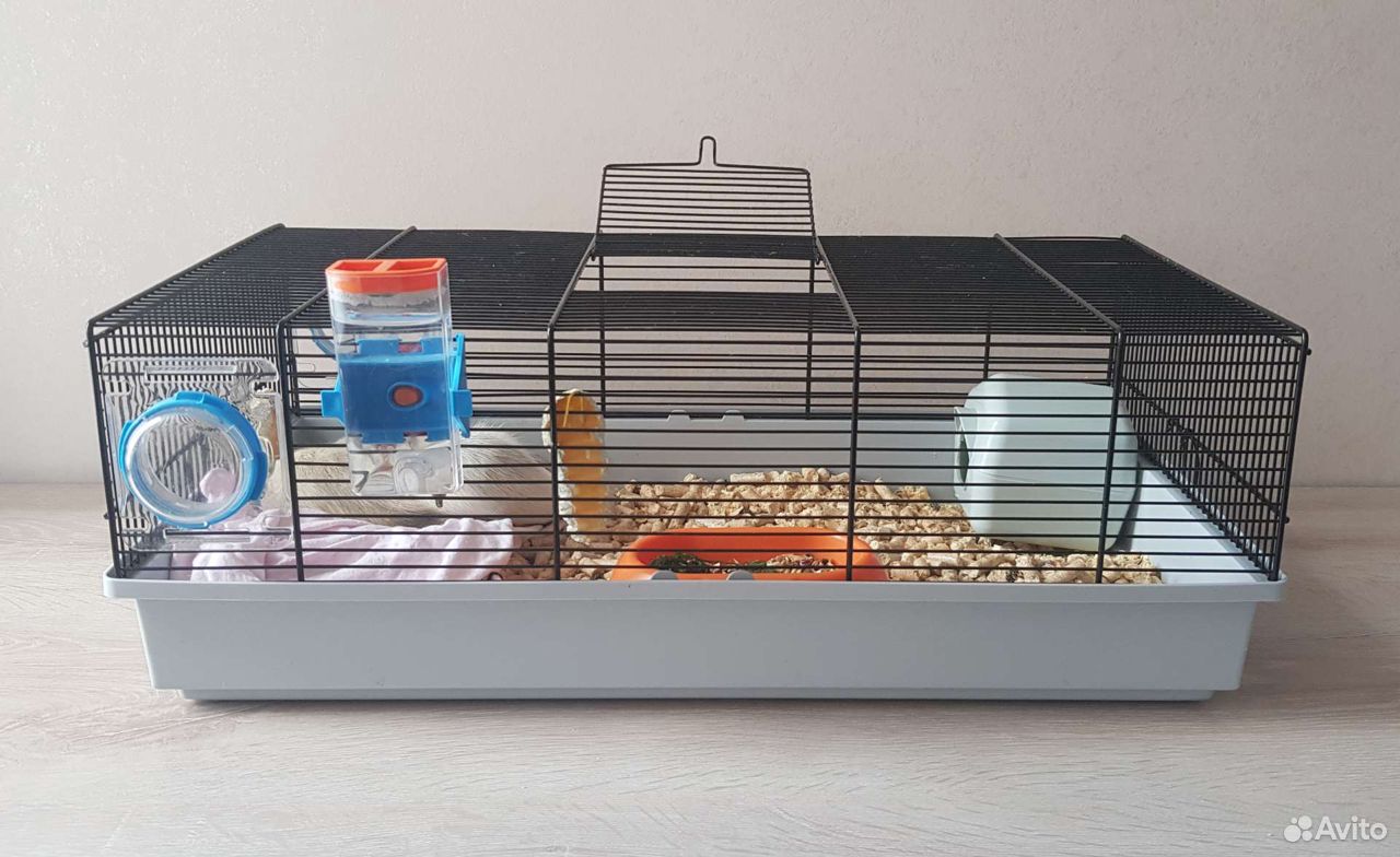Клетка с 2-мя крысками