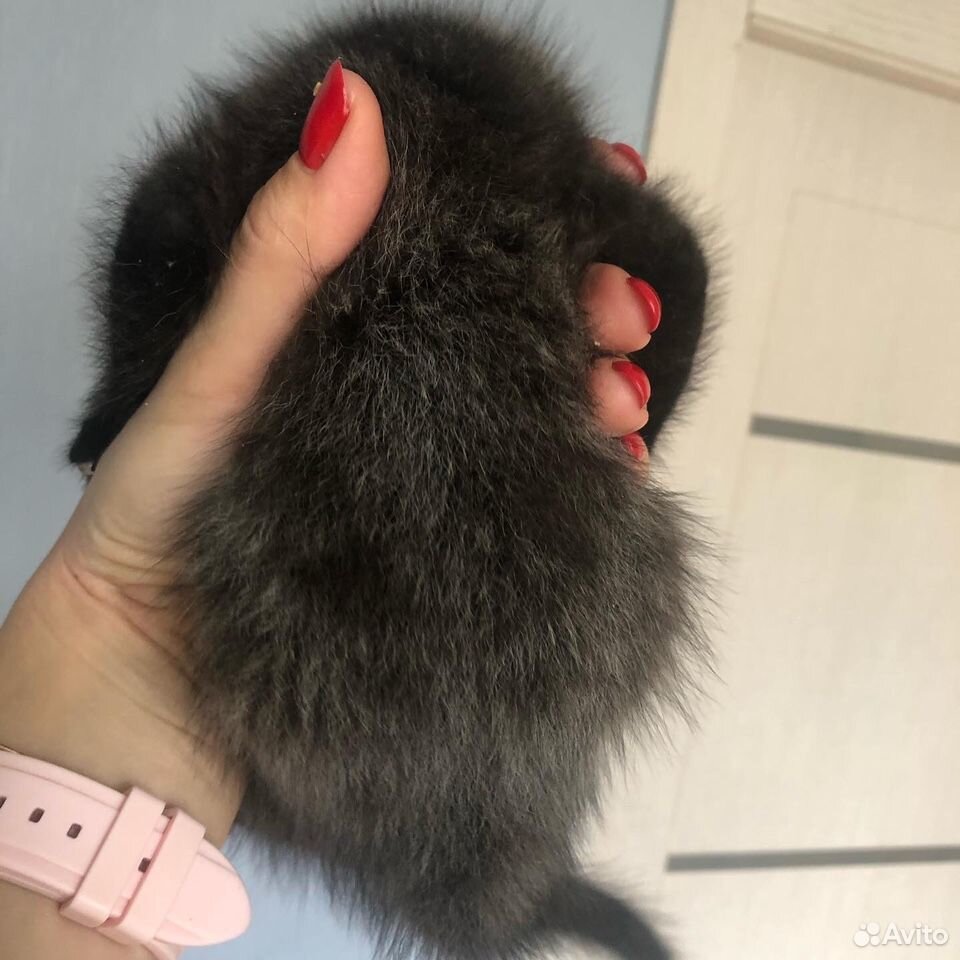 Котёнок с редким окрасом от британской кошки