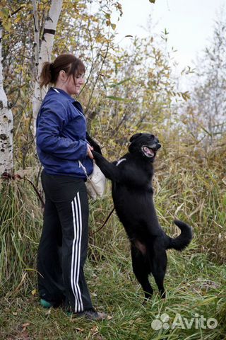 В добрые руки Клайд