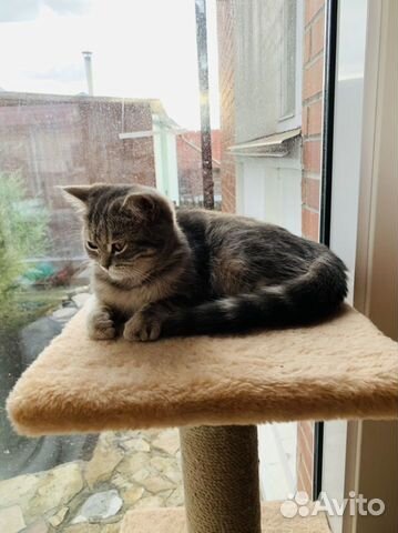 Нежная малышка