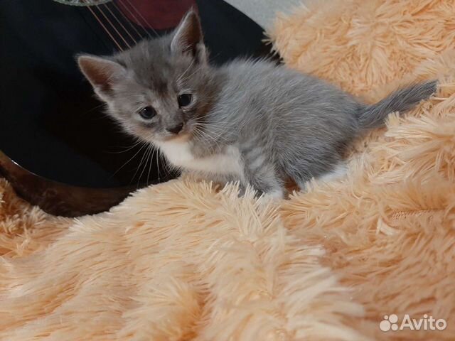 7 чудо света