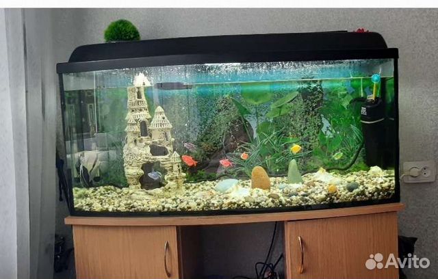 Аквариум