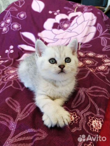 Британская