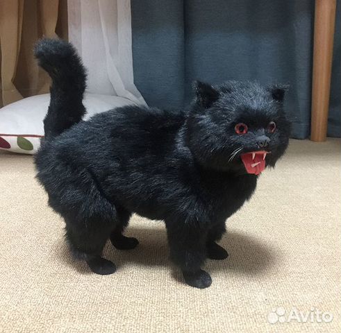 Кот красивый котенок