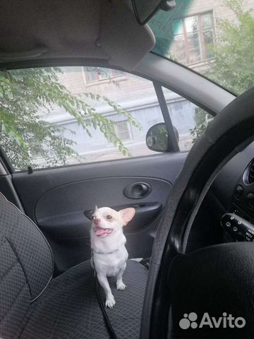 Ищем невесту