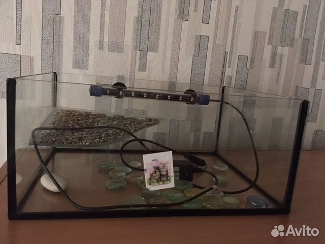 Аквариум