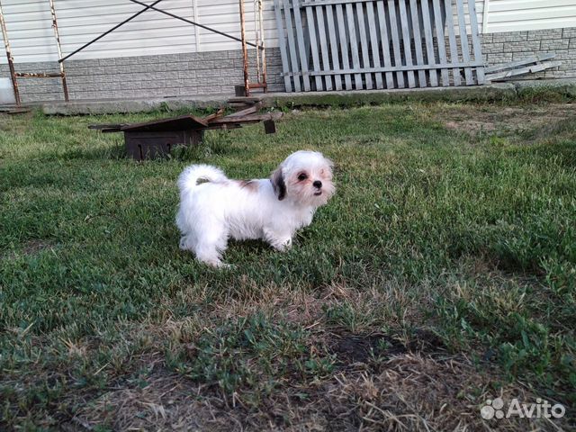 Чудесный ребенок