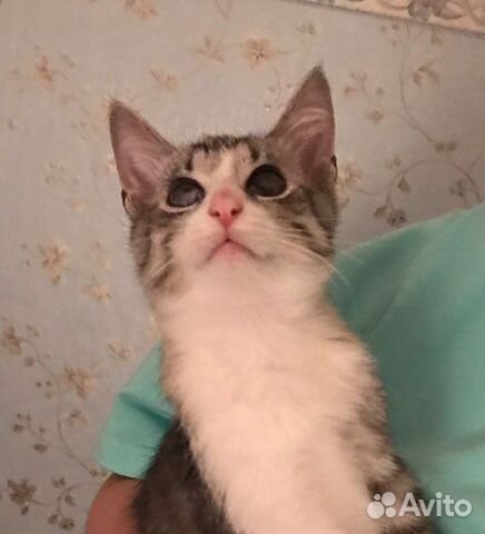 Мальчик Кеша хочет домой