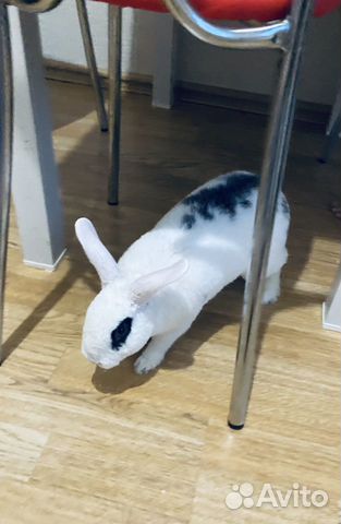 Кролик на вязку