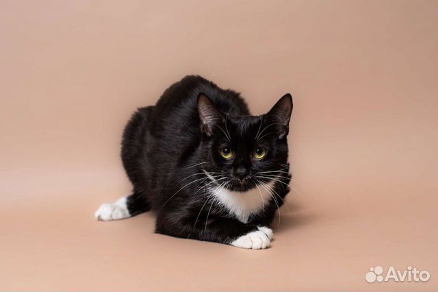 Европейская