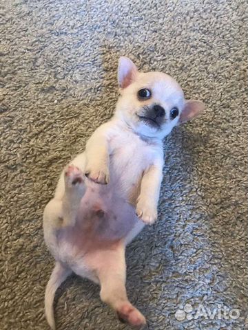 Мальчишки к Н.Г