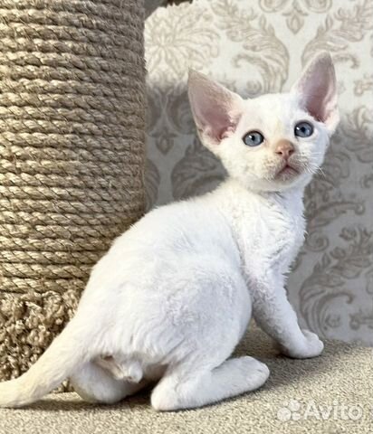 Чудесный мальчик