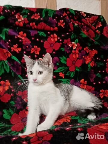 Супер ласковая крошка