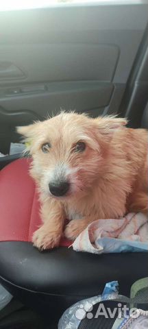 Ласковое солнышко