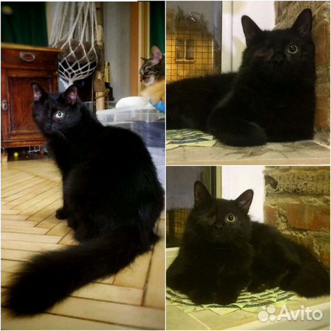 Без глазике никому не нужна,девочка 1 год