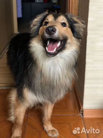 Небольшой мальчик Фёдор, в добрые руки