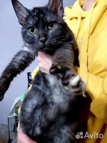 Тошик Филевский хочет начать жизнь заново