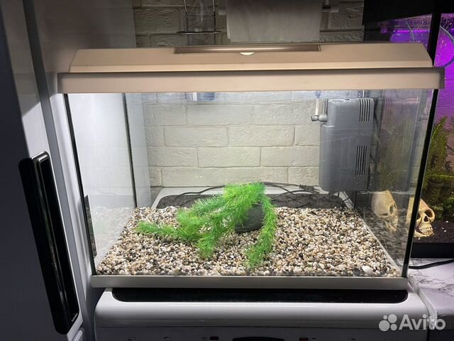 Аквариум juwel 70 литров