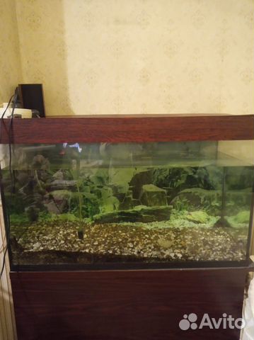 Аквариум и его оснащение