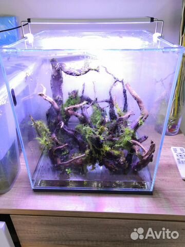 Аквариум Куб 38л.из стекла Оптивайт. Отличное сост