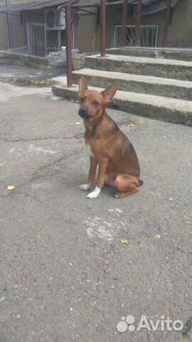 Найти потеряшку