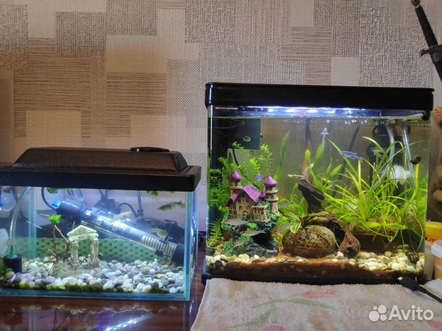 Аквариум