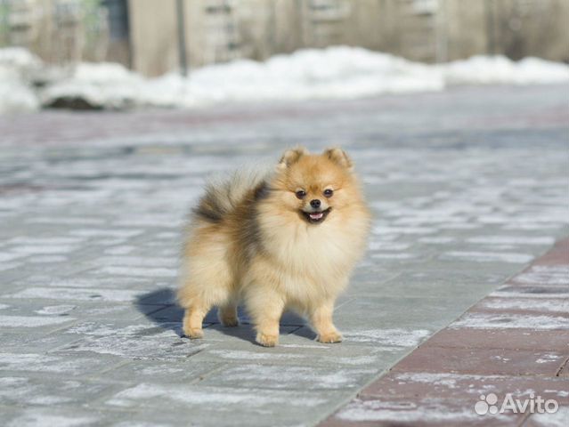 Шикарный парень 12 месяцев