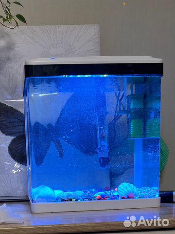Аквариум /аквариум с рыбками