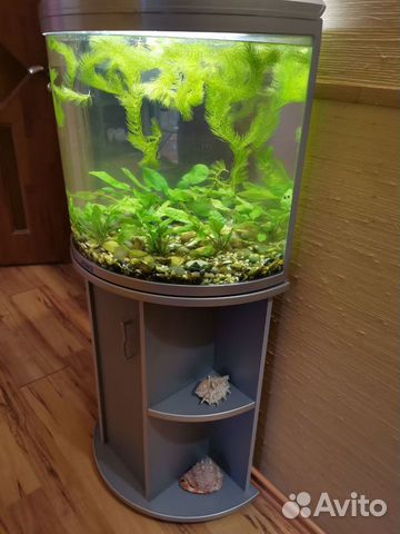 Аквариум jebo c тумбой