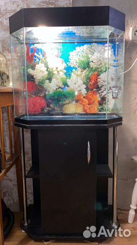 Аквариум