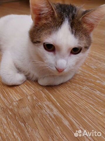 Сладкая Булочка ищет любящие сердца