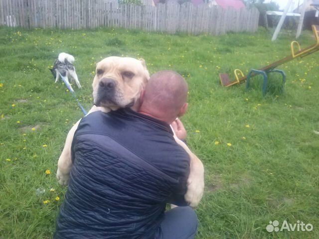 Для избраных