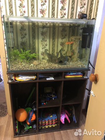 Аквариум