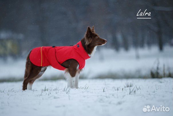 Новая попона для собак (универсальная) Lalra