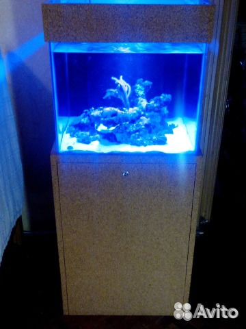 Морской Аквариум